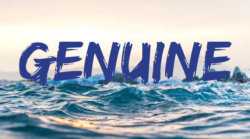 Being Genuine – Part II - Team Leadership Culture