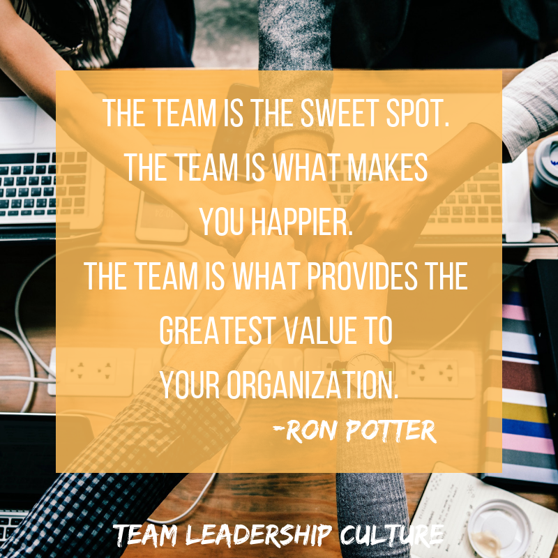Team: Introduction - Team Leadership Culture
