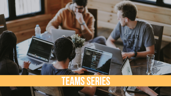 Team Elements: Level 4 Happiness - Team Leadership Culture