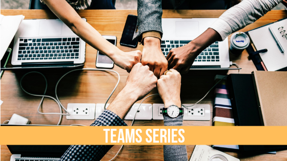 Team: Introduction - Team Leadership Culture