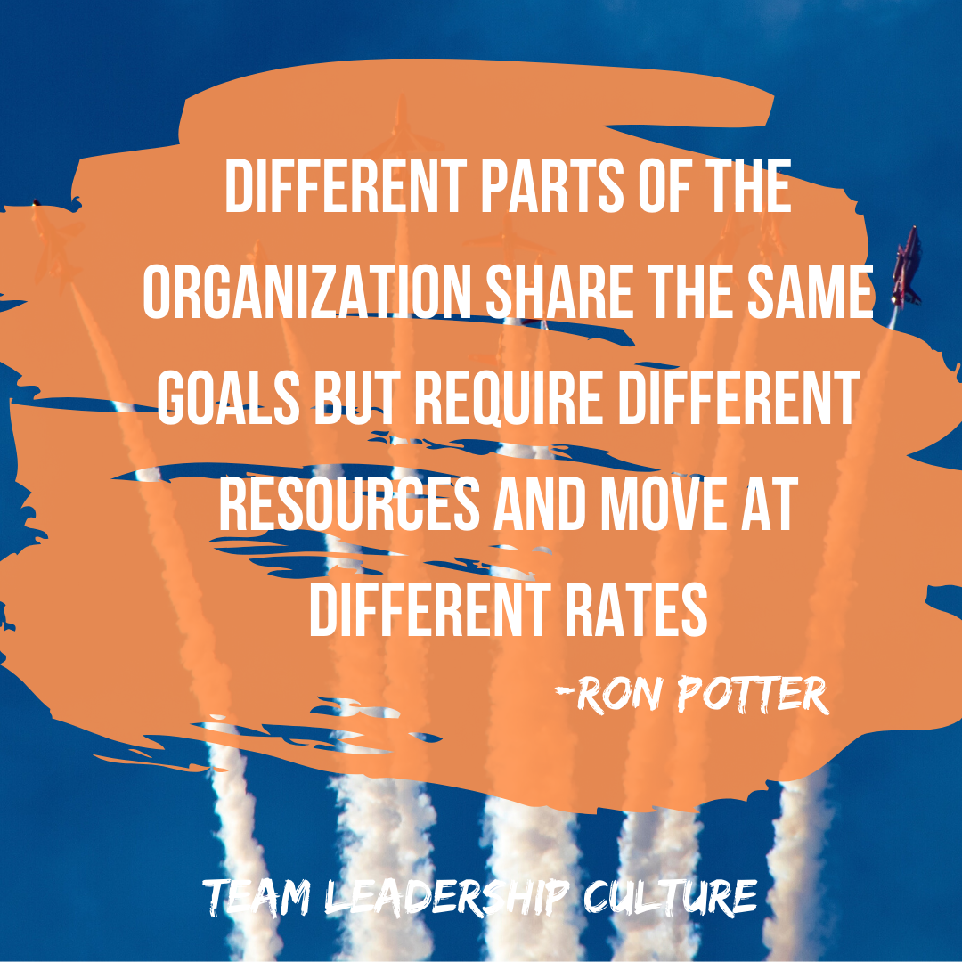 TLC Meme (1) - Team Leadership Culture